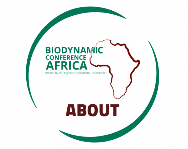 BD AFRICAN CONFERENCE – Economy of Love