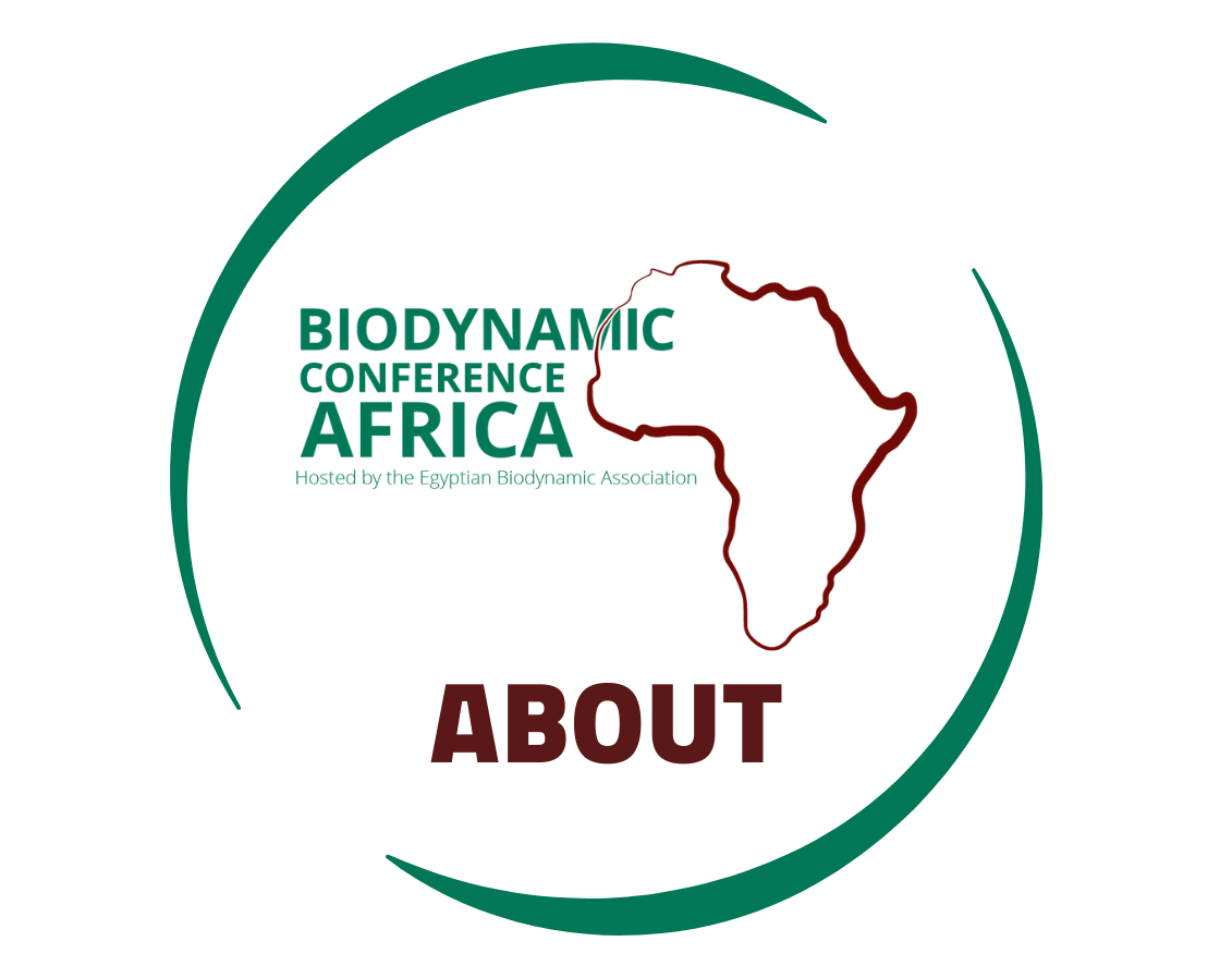 BD AFRICAN CONFERENCE – Economy of Love